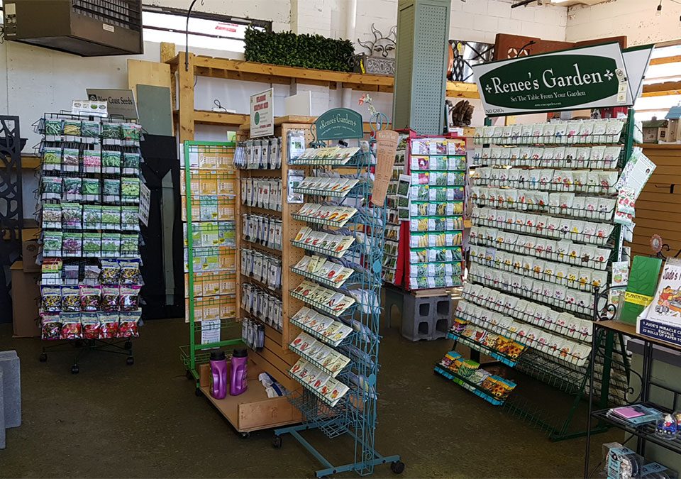 Plantation Garden Centre – Your Friendly Neighbourhood Garden Centre in ...